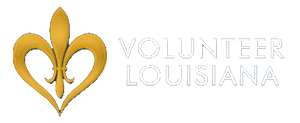 First Volunteer Bank Logo